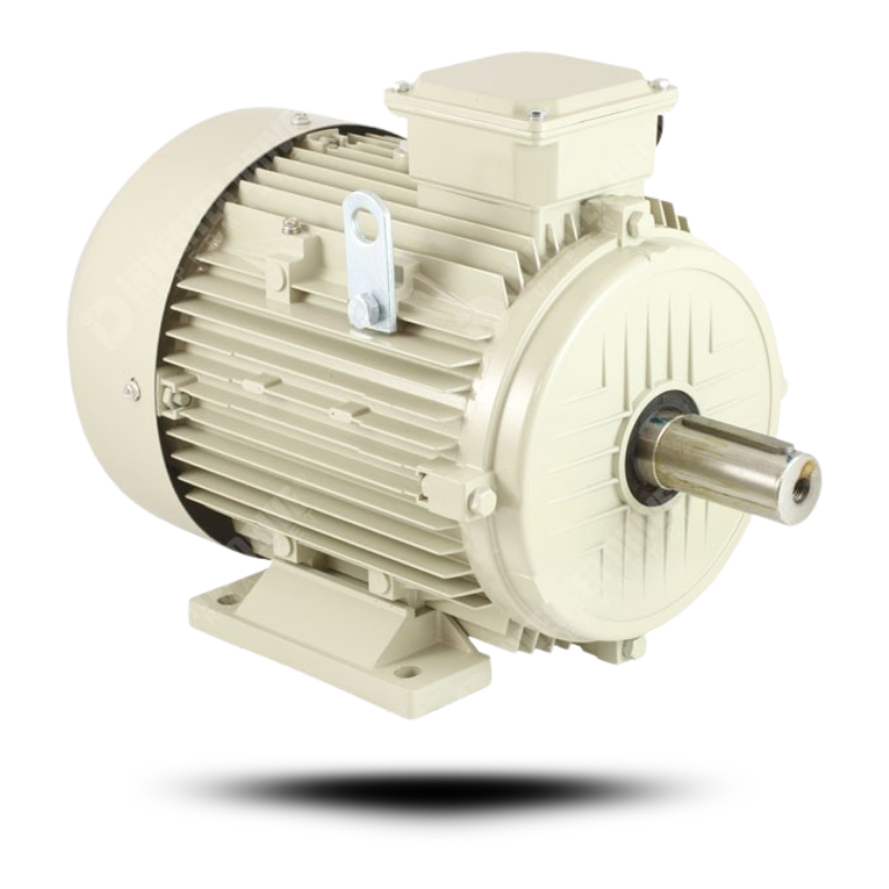 THREE PHASE MOTOR (1) – DCE Electrics